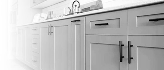 Wood Floors Plus > Cabinets > Classic Snow (White)