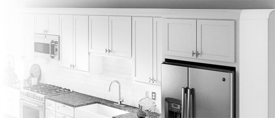 Wood Floors Plus > Cabinets > Classic Snow (White)
